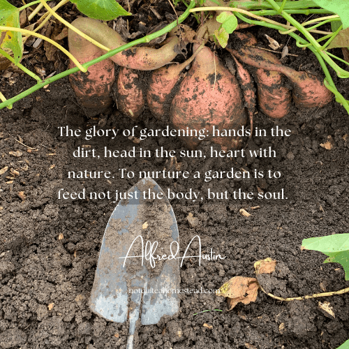 60+ Gardening Quotes That Will Inspire You Every Season - Not Quite a ...