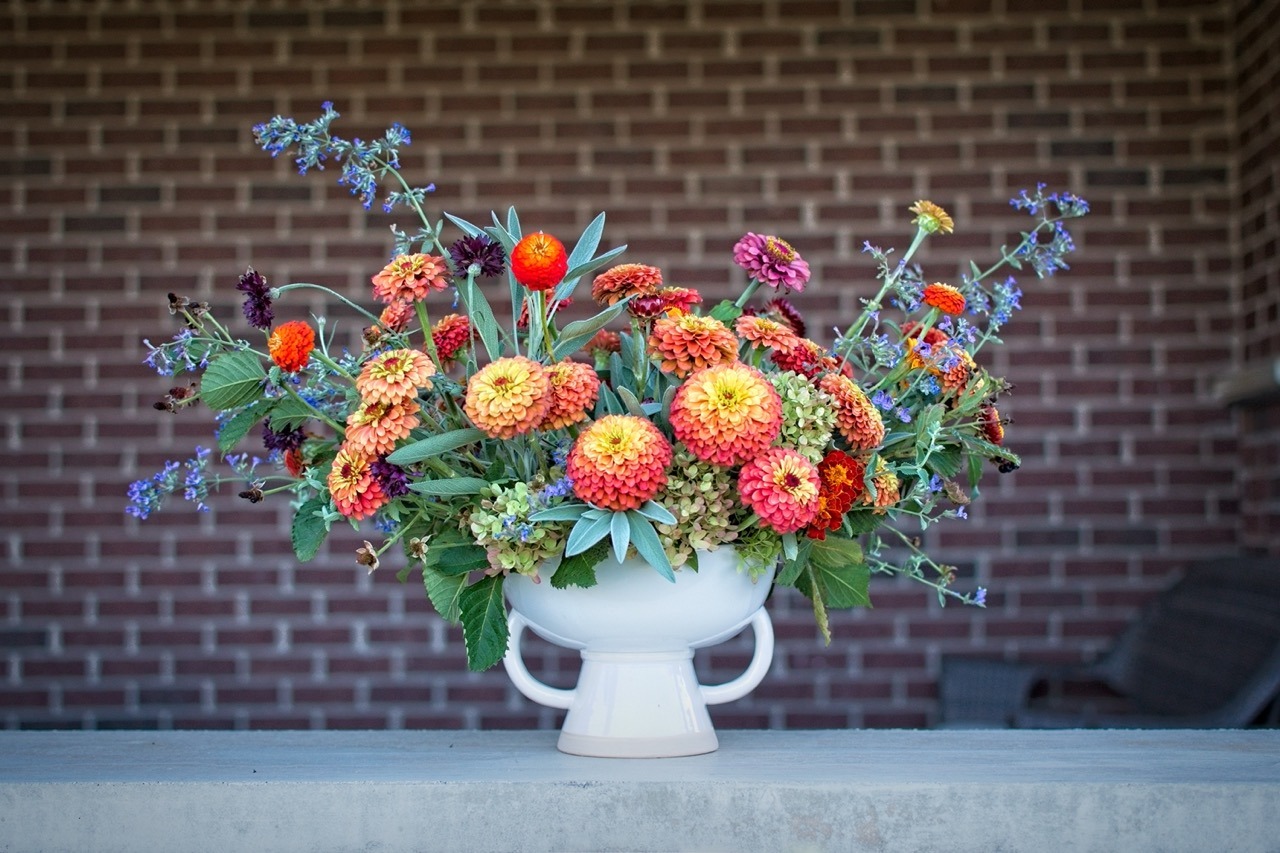Ranking My Best and Worst Cut-Flower Arrangements for 2023 - Not Quite ...