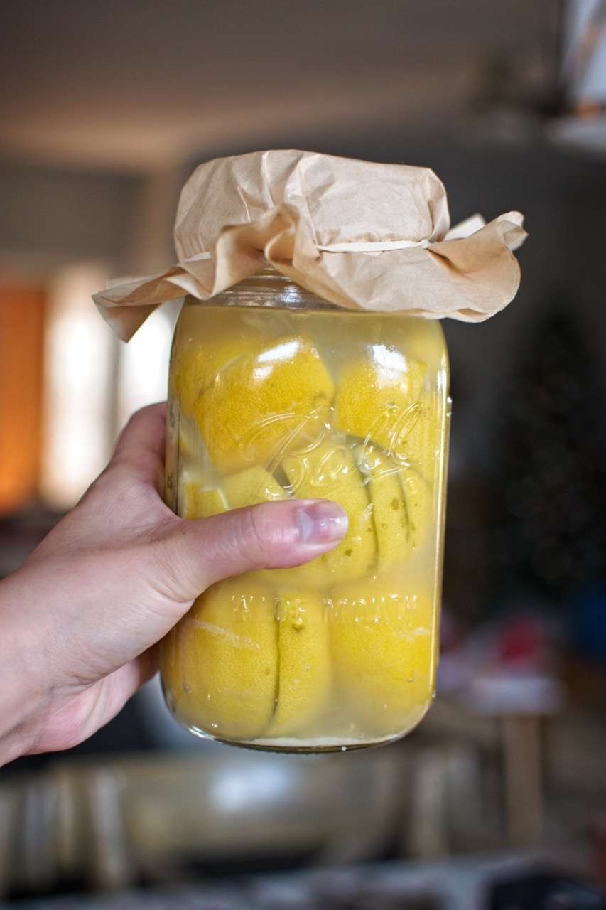 Fermented Lemons: Easily Preserve Lemons at Home - Not Quite a Homestead