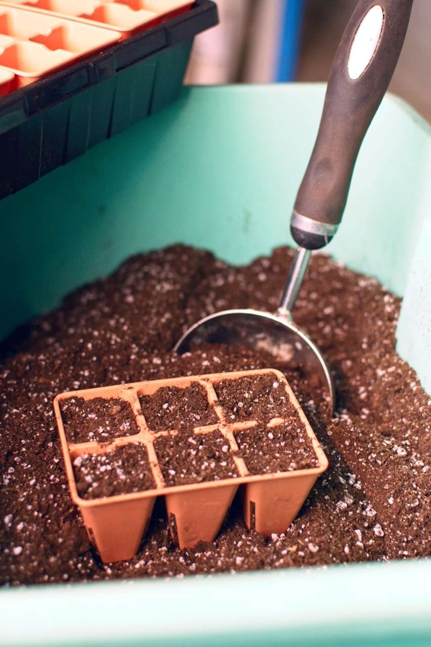 A Complete Guide to Indoor Seed Starting & One Step You Should Never ...