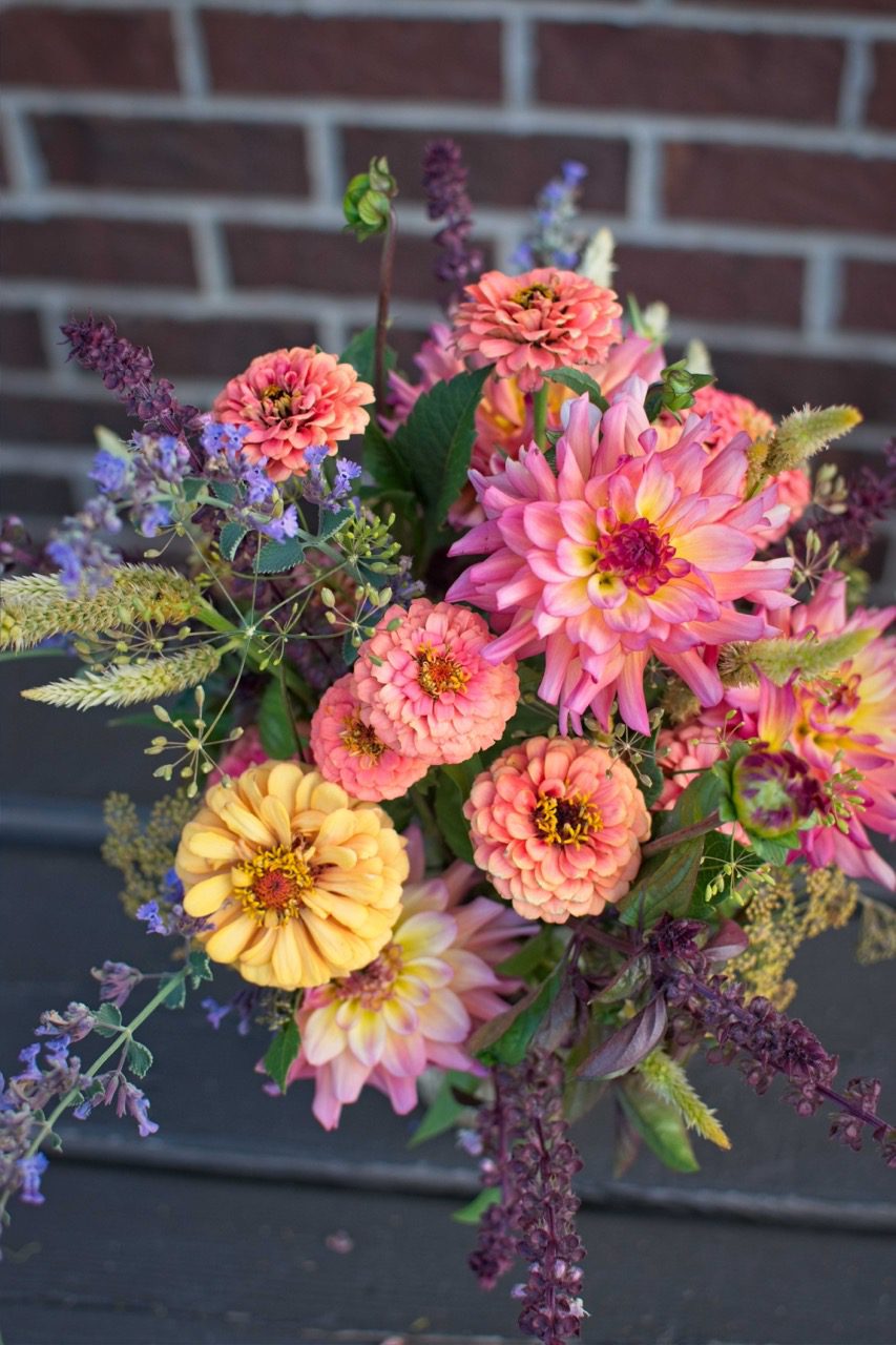 Peachy Pink Cut Flower Bouquet Ideas for Summer Gardens - Not Quite a ...
